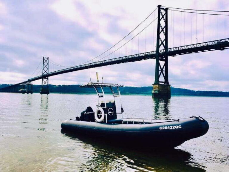 Guided cruise to discover Orleans Island and Quebec City - Who Is This Tour Best For?