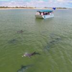 Guided Dolphin Eco-Cruise in Koombana Bay - The Itinerary Breakdown