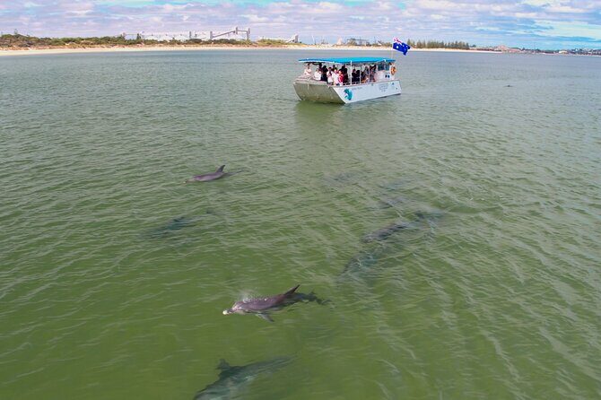 Guided Dolphin Eco-Cruise in Koombana Bay - The Itinerary Breakdown