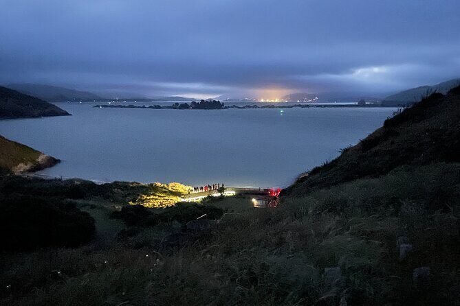 Guided Evening Penguin Viewing Otago Peninsula, Dunedin, New Zealand - Who Should Book This Tour?