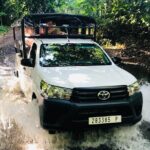 Guided Excursion in 4x4 in Moorea between Land and Sea - Who Is This Tour Best Suited For?