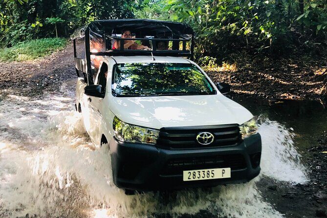 Guided Excursion in 4x4 in Moorea between Land and Sea - Who Is This Tour Best Suited For?