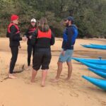 Guided Kayak Tour of Manly Cove Beaches - What the Reviews Reveal About the Experience