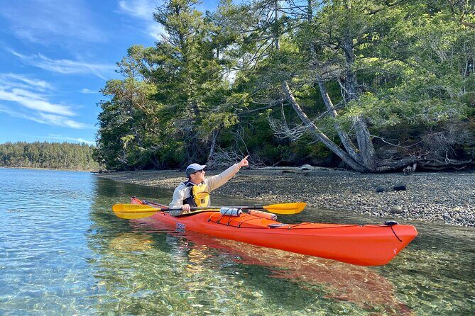 Guided Kayak Tour To Hope Island State Park - Authentic Experiences from Reviewers