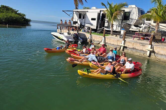 Guided Mangrove Eco Tours Kayak or Paddleboard Adventure - The Value of the Experience