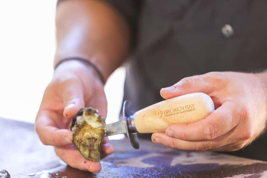 Guided Oyster Tasting - Why This Tour Is Worth Considering