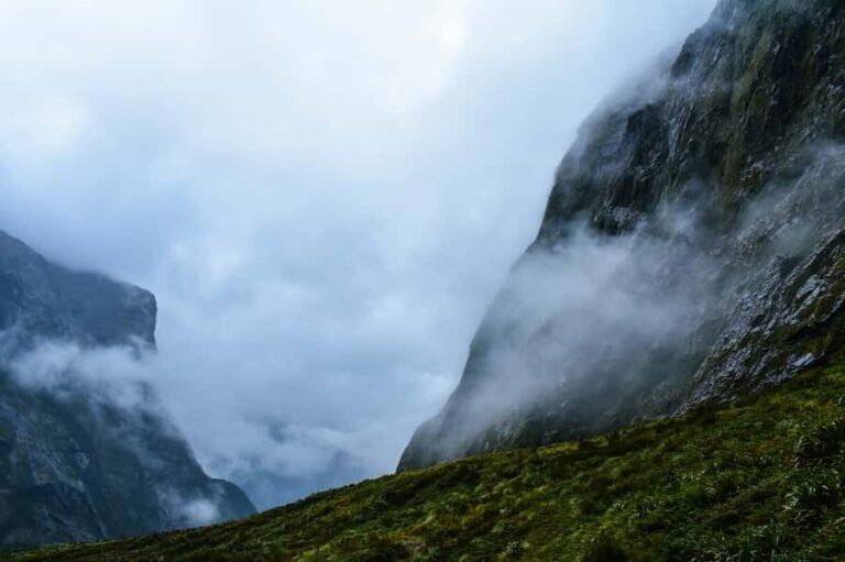 Guided Private Milford Sound Day Tour from Te Anau(Cruise In - The Value of Personalization & Authenticity