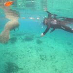 Guided Semi-Private Snorkel Tour (w/ FREE Photos!) - The Experience in Detail