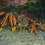 Guided Shore Dive Tour for Certified Divers - The Itinerary: What to Expect from Start to Finish