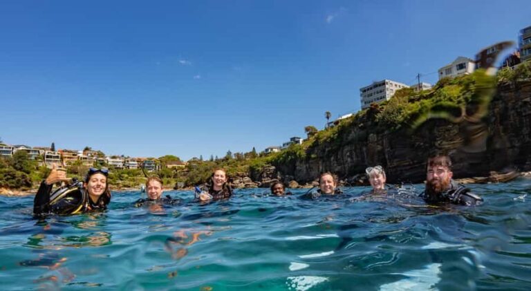 Guided Snorkel Tour at Australias most iconic beach - What You Can Expect from the Itinerary