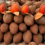 Guided Tasting of 15+ Tropical Fruits in Playa del Carmen - The Sum Up