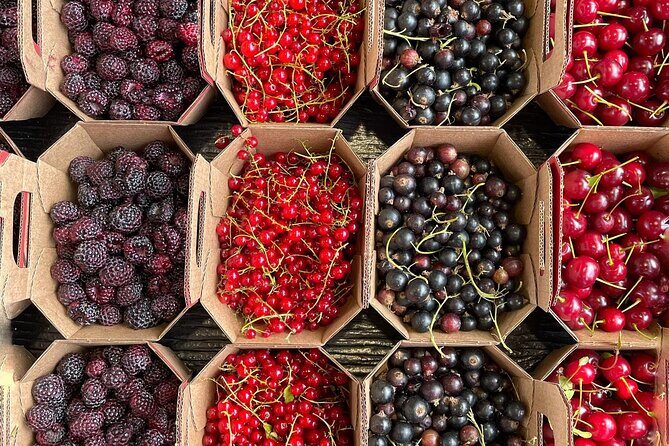 Guided Tour and Tastings at Jean-Talon Market with a Food Writer - Practical Details and Tips