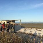 Guided Tour at Pukorokoro Shorebird Centre - Who Will Enjoy This Tour?