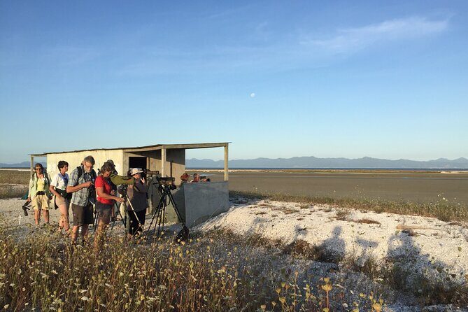 Guided Tour at Pukorokoro Shorebird Centre - Who Will Enjoy This Tour?
