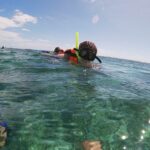 Guided Tour of Puerto Morelos Reefs with Snorkeling Experience - An In-Depth Look at the Tour Experience