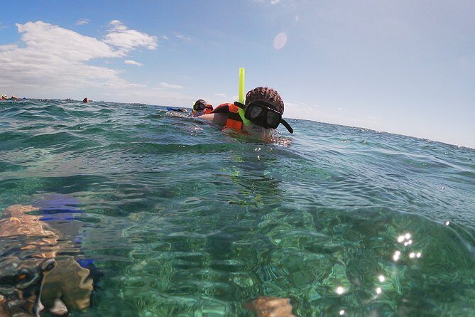 Guided Tour of Puerto Morelos Reefs with Snorkeling Experience - An In-Depth Look at the Tour Experience