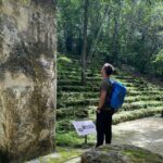 Guided Tour to Calakmul and Jungle Trail | From Bacalar. - Who Will Love This Tour?