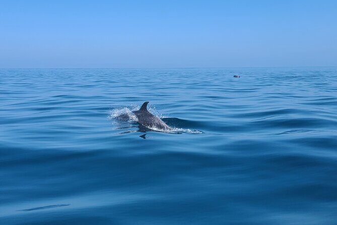Guided Two hours Jetski Coastal Tour - Potential Drawbacks & Considerations