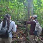 Guided visit in the Palenque jungle (Palenque National Park) - Why Choose This Tour?