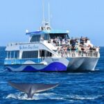 Guided Whale Watching Tour from Long Beach - An In-Depth Look at the Experience