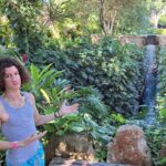 Hacienda Mucuyche & Oxkintok ruins & Cenotes: Carlota& Azul Maya - Practical Details and Value