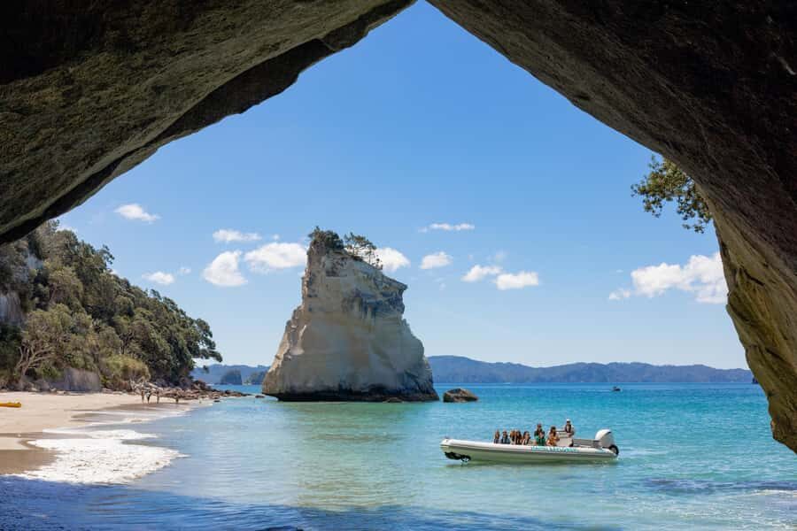 Hahei Explorer Cathedral Cove Boat Tour - What You Can Expect on the Water