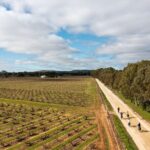 Hahndorf food and wine E-Bike Tour - What’s Included and What’s Not?