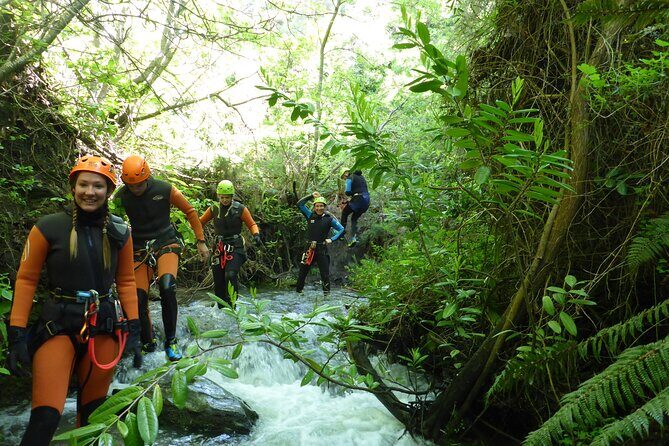 Half-Day Canyoning in Gibbston Valley from Queenstown - Analyzing the Price and Value
