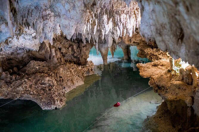 Half Day Cenotes Experience - Authenticity and Experience Quality