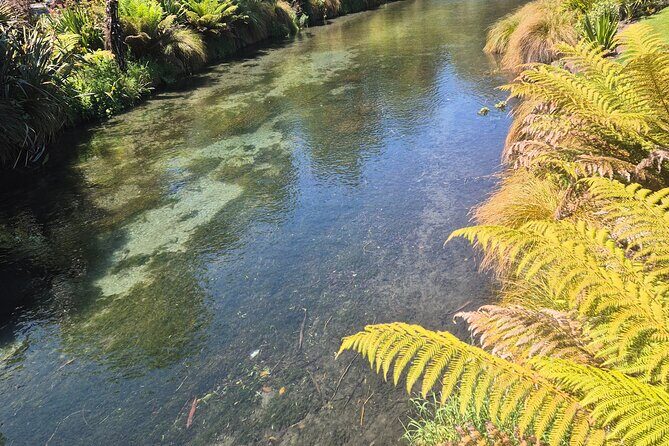 Half Day Christchurch Scenic Tour with Local Guide - Who Should Consider This Tour?