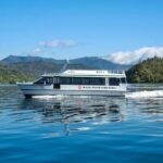 Half-Day Cruise in Marlborough Sounds from Picton - Practical Details and Tips
