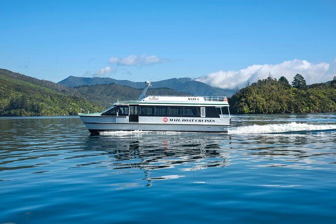 Half-Day Cruise in Marlborough Sounds from Picton - Practical Details and Tips