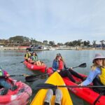 Half Day Dana Point Kayak and Hike - Who Is This Tour Best For?