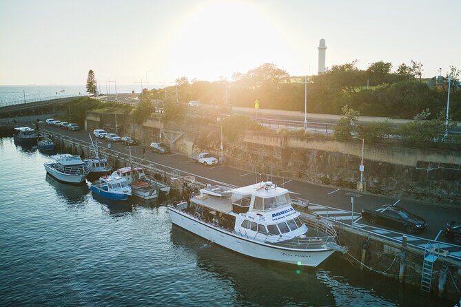 Half-Day Deep Sea Fishing in Wollongong - Weekdays only - What to Expect on the Trip