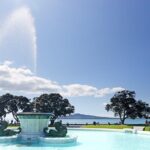 Half-day Discover Auckland City Sightseeing Tour - What Makes This Tour Stand Out?