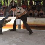 Half-Day Everglades Airboat Tours and Transportation - The Experience in Detail