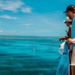 Half Day Great Barrier Reef Snorkeling Tour - Detailed Breakdown of the Itinerary