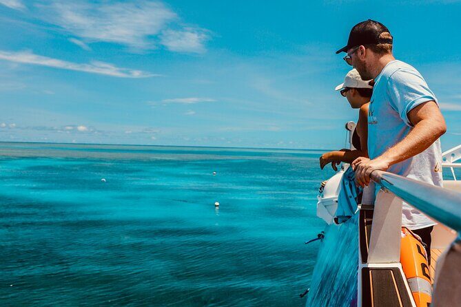 Half Day Great Barrier Reef Snorkeling Tour - Detailed Breakdown of the Itinerary