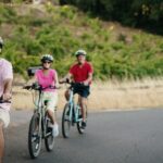 Half Day Guided Electric Bike Wine Tasting Tour with Lunch - What’s Included and What to Expect
