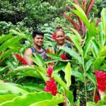 Half-Day Guided Hike to Afareaitu Waterfall - FAQs