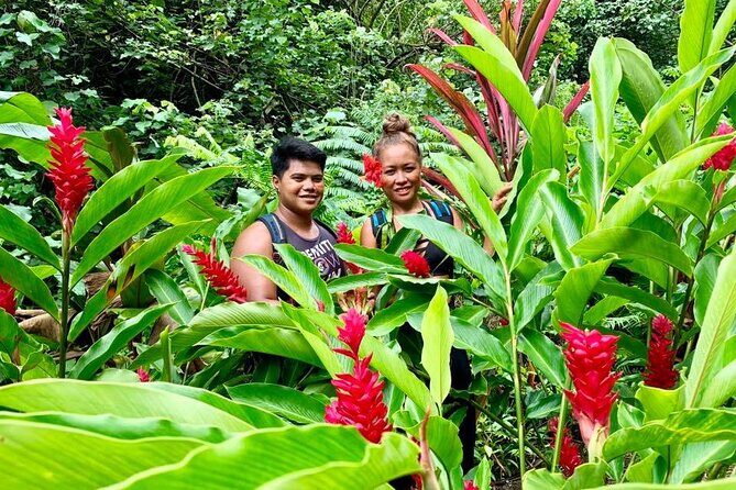 Half-Day Guided Hike to Afareaitu Waterfall - FAQs