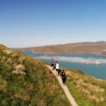 Half Day Guided Walking Tour on Banks Peninsula - Why This Tour Is a Great Choice