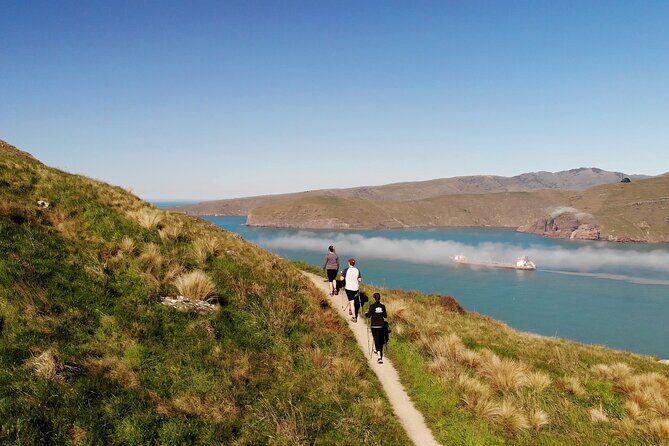 Half Day Guided Walking Tour on Banks Peninsula - Why This Tour Is a Great Choice