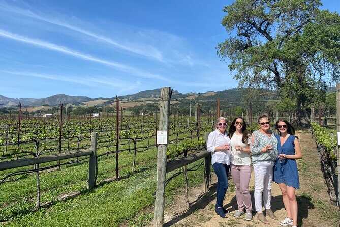 Half Day Join in Group Wine Tasting Tour - The Itinerary in Detail