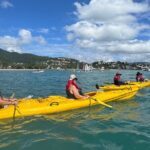 Half Day Kayak Turtle Tour - The Itinerary in Detail
