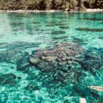 Half day lagoon safari tour in Bora Bora- Shared tour - Itinerary Breakdown: What to Expect