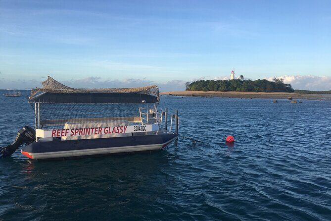 Half Day Low Island and Lagoon Snorkeling from Port Douglas - Pricing and Value