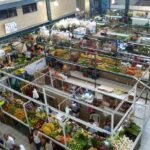 Half-day Manzanillo City Tours - Practical Details: What You Need to Know