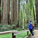 Half-Day Muir Woods & Sausalito Tour with Entry Ticket Included - Authentic Experiences and Hidden Details