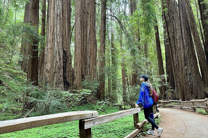 Half-Day Muir Woods & Sausalito Tour with Entry Ticket Included - Authentic Experiences and Hidden Details